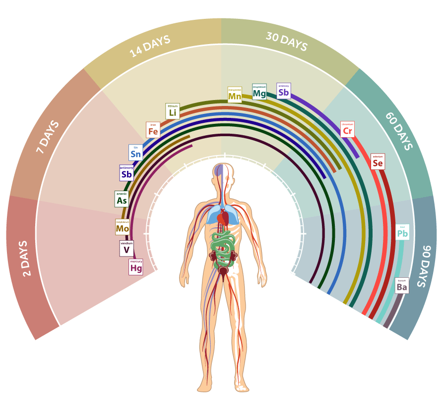 DETOX METAUX LOURDS - Advanced TRS de COSEVA